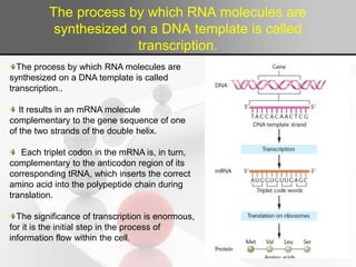 Genetic code and transcription | PPTX