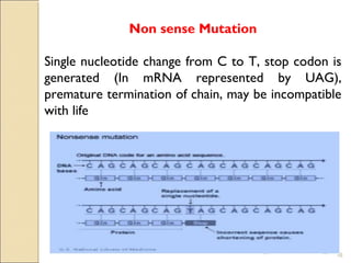 Genetic code and translation | PPT