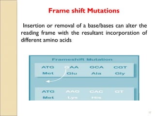 Genetic code and translation | PPT