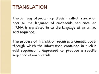 Genetic code and translation | PPT