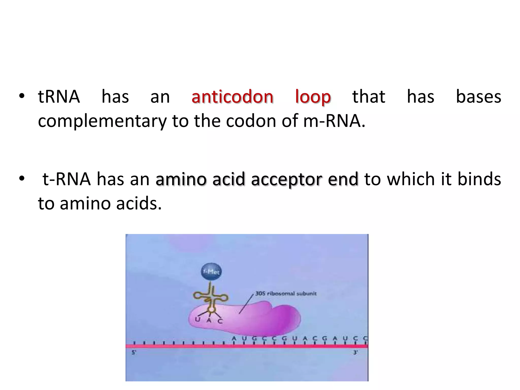 Genetic code and translation.. | PPTX | Chemistry | Science