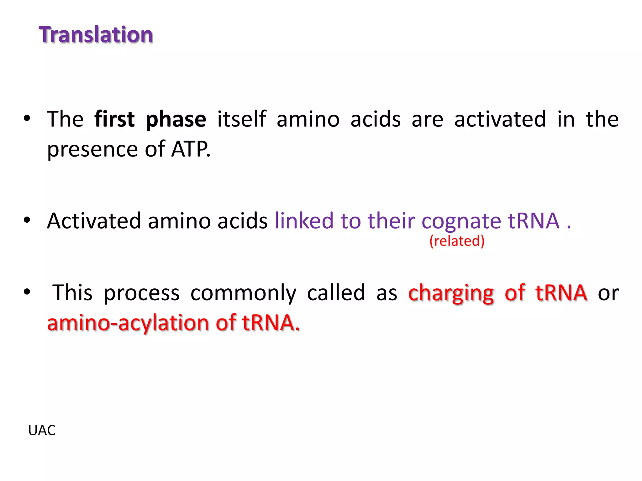 Genetic code and translation.. | PPTX | Chemistry | Science