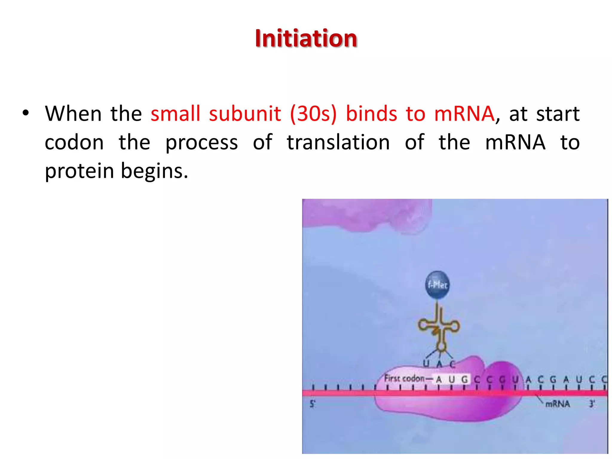 Genetic code and translation.. | PPTX | Chemistry | Science
