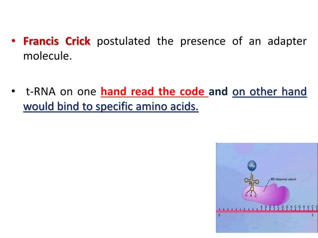Genetic code and translation.. | PPTX | Chemistry | Science