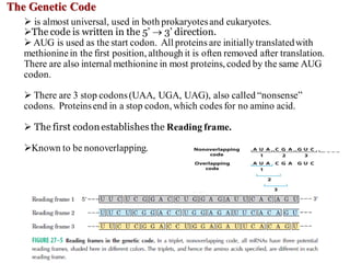 Genetic Code and Translation.pdf