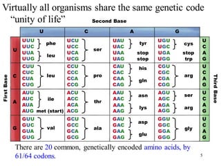 Genetic Code and Translation.pdf