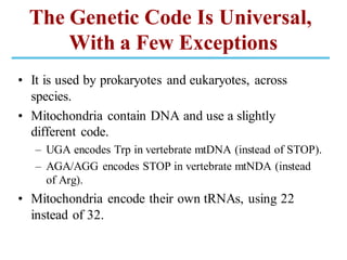 Genetic Code and Translation.pdf