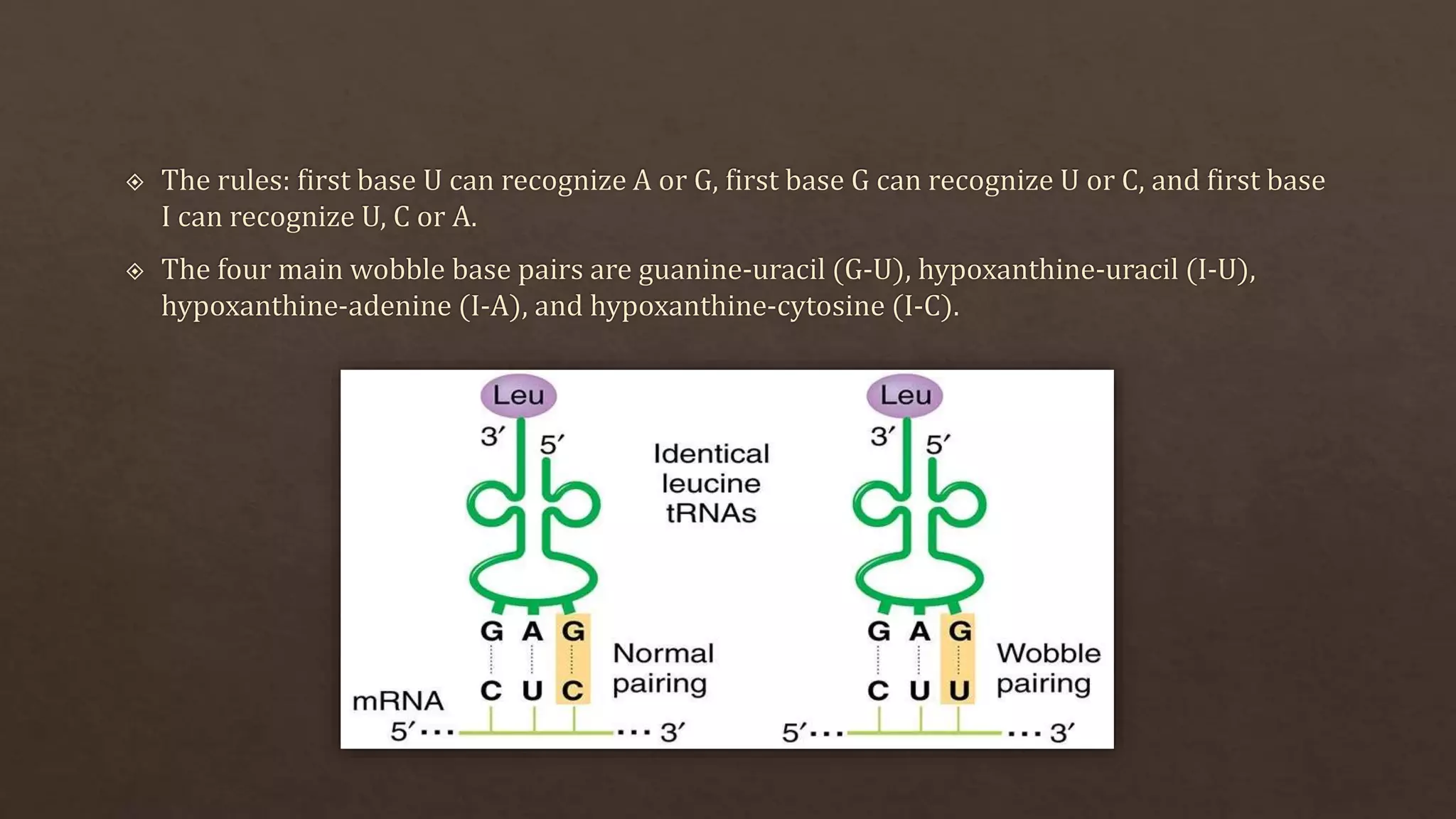 genetic code and translation.pptx