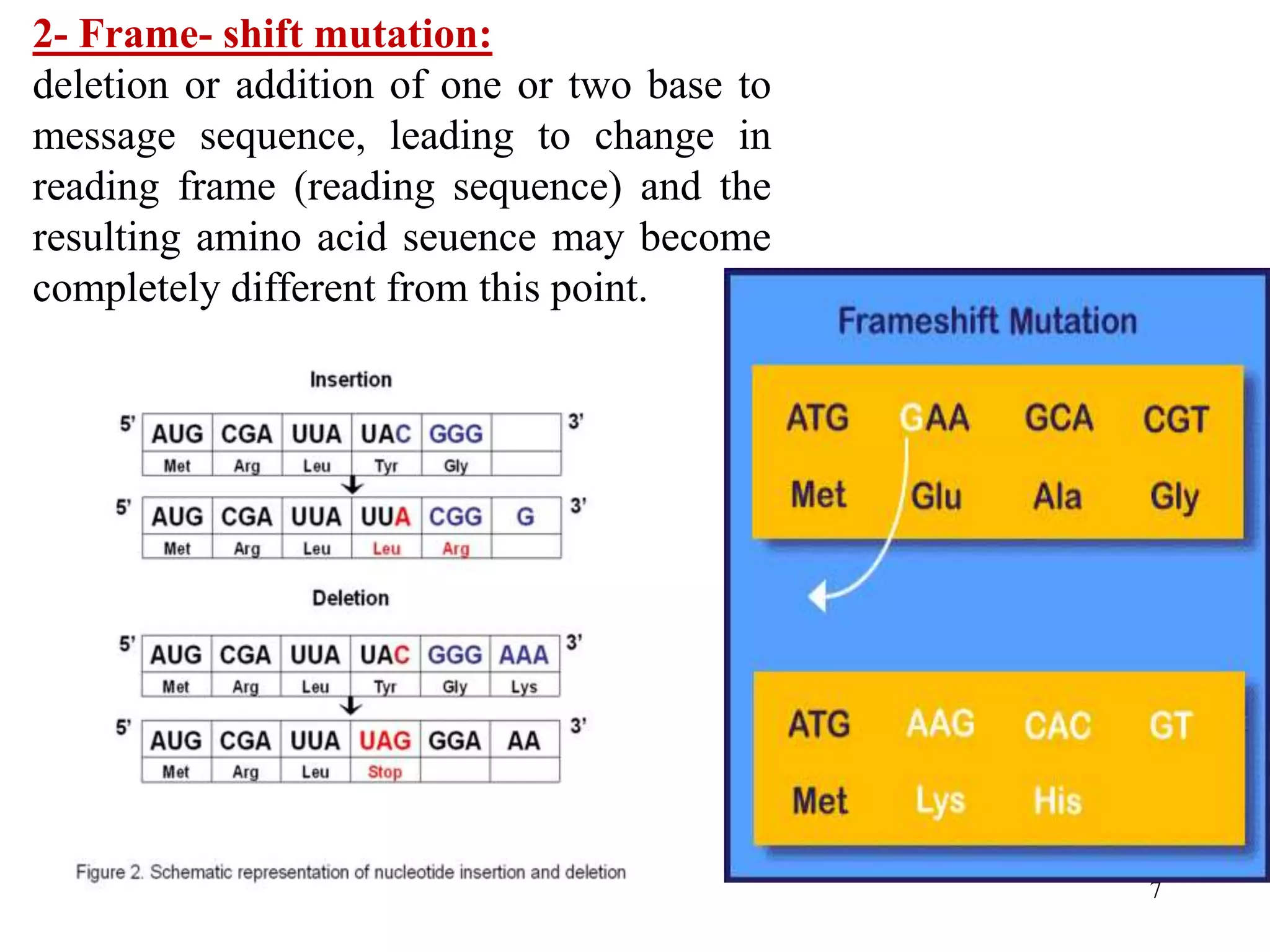 genetic code . | PPT