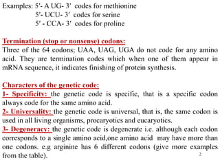 genetic code . | PPT