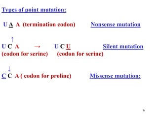 genetic code . | PPT