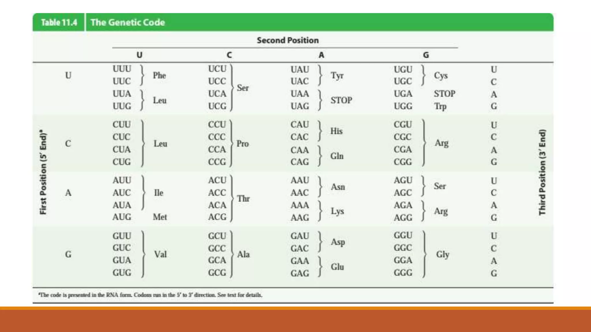 Genetic code deciphering propertie and code dictionary. | PPTX ...