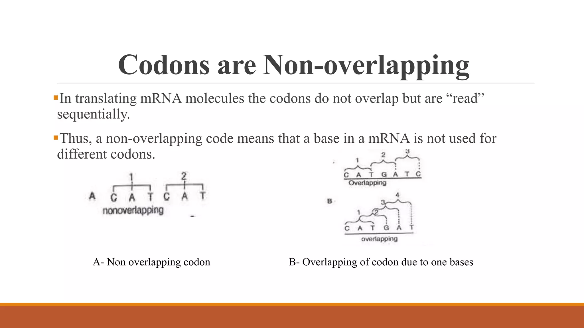 Genetic code deciphering propertie and code dictionary. | PPTX | Programming Languages | Computing