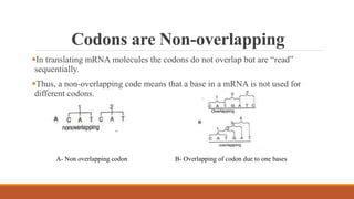 Genetic code deciphering propertie and code dictionary. | PPTX | Programming Languages | Computing