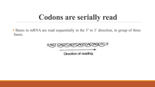 Genetic Code Deciphering Propertie And Code Dictionary Pptx Programming Languages Computing