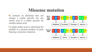Genetic code deciphering propertie and code dictionary. | PPTX | Programming Languages | Computing