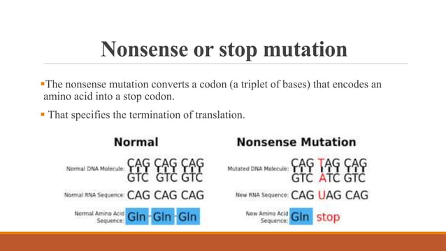 Genetic Code Deciphering Propertie And Code Dictionary Pptx Programming Languages Computing