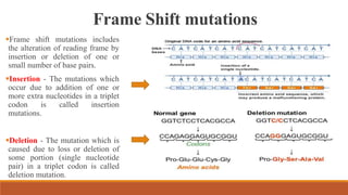 Genetic code deciphering propertie and code dictionary. | PPTX ...