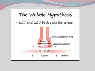 Genetic code features and character | PPTX