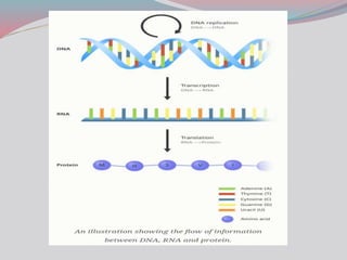 Genetic code features and character | PPTX