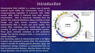 Genetic code in mitochondria; Transport of proteins and molecular ...