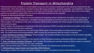 Genetic code in mitochondria; Transport of proteins and molecular chaperones; Protein stability.pptx