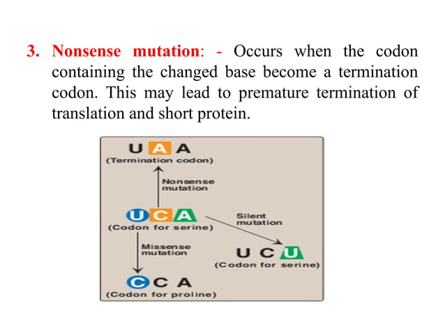 Genetic code & mutation types and effects.pptx