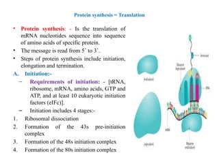 Genetic code & mutation types and effects.pptx