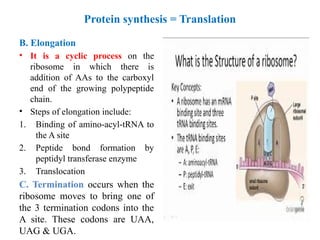 Genetic code & mutation types and effects.pptx