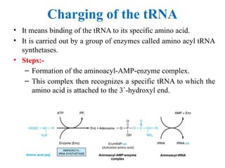 Genetic code & mutation types and effects.pptx