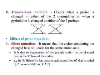 Genetic code & mutation types and effects.pptx