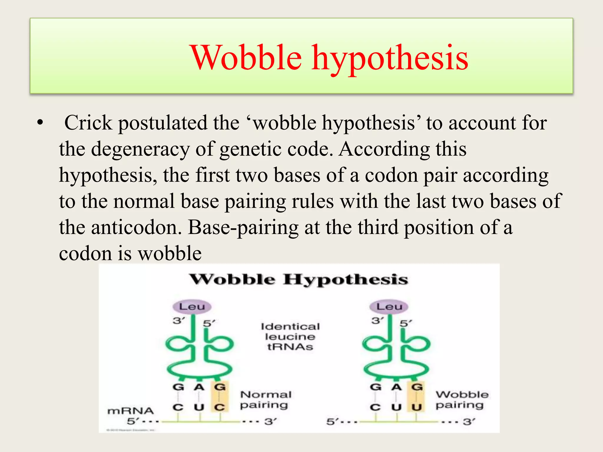 Genetic Code Ppt Pptx Programming Languages Computing