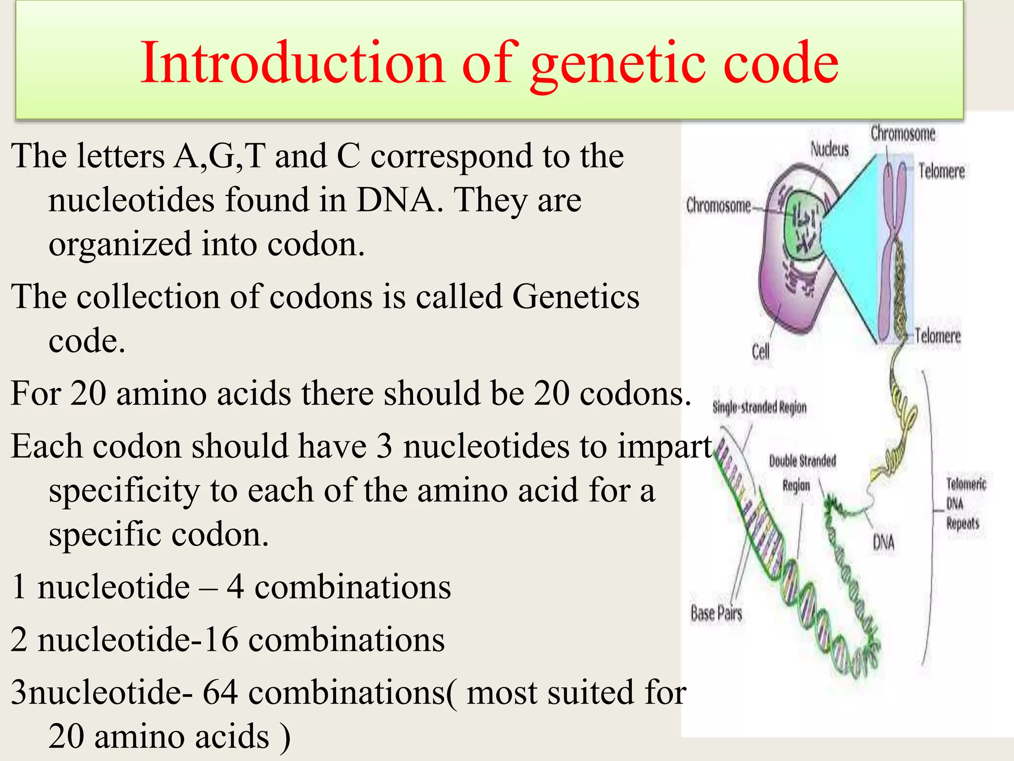Genetic code ppt | PPTX