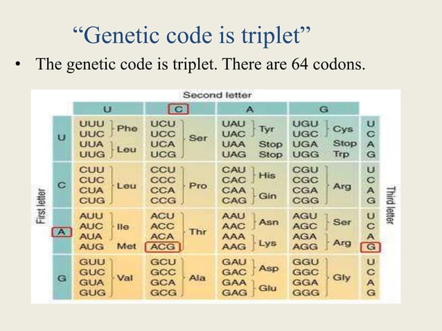 Genetic code ppt | PPTX | Programming Languages | Computing