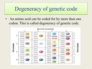 Genetic code ppt | PPTX
