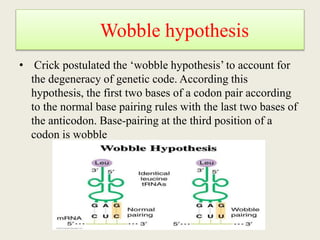 Genetic code ppt | PPTX