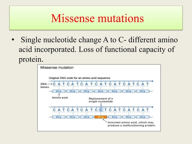 Genetic code ppt | PPTX | Programming Languages | Computing