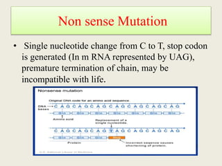 Genetic code ppt | PPTX
