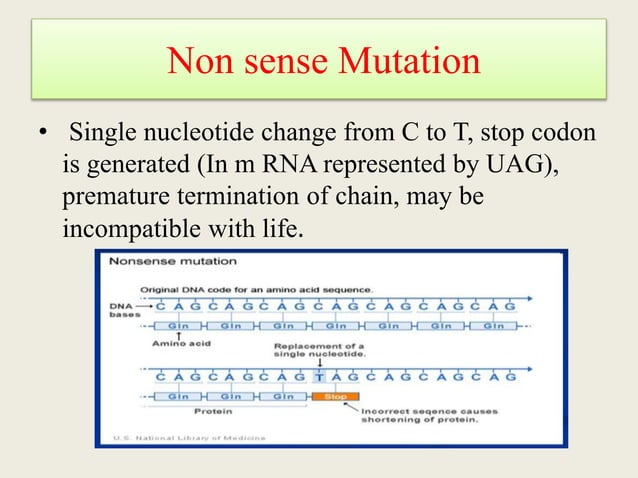 Genetic code ppt | PPTX | Programming Languages | Computing