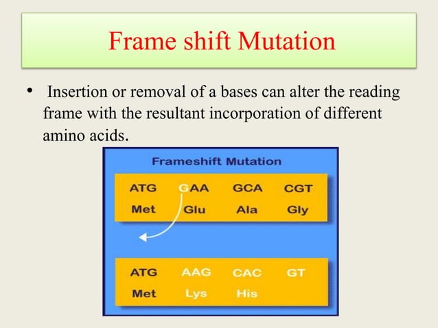 Genetic code ppt | PPTX | Programming Languages | Computing