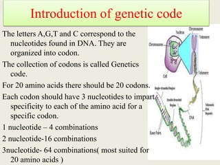 Genetic code ppt | PPTX