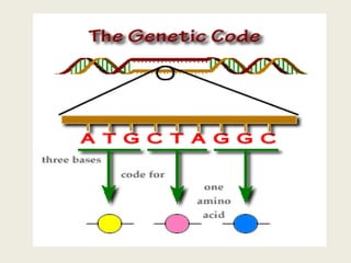 Genetic code ppt | PPTX