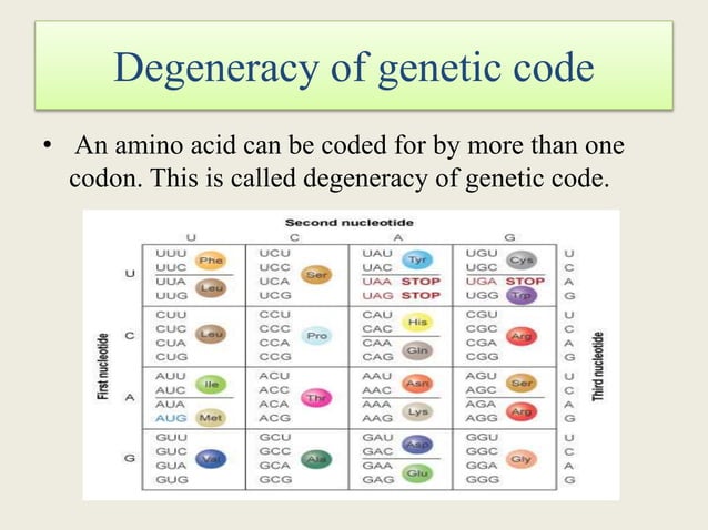 Genetic code ppt | PPT