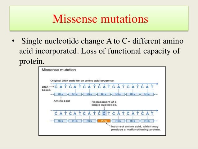 Genetic code ppt