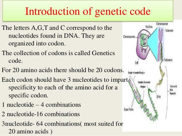 Genetic code ppt