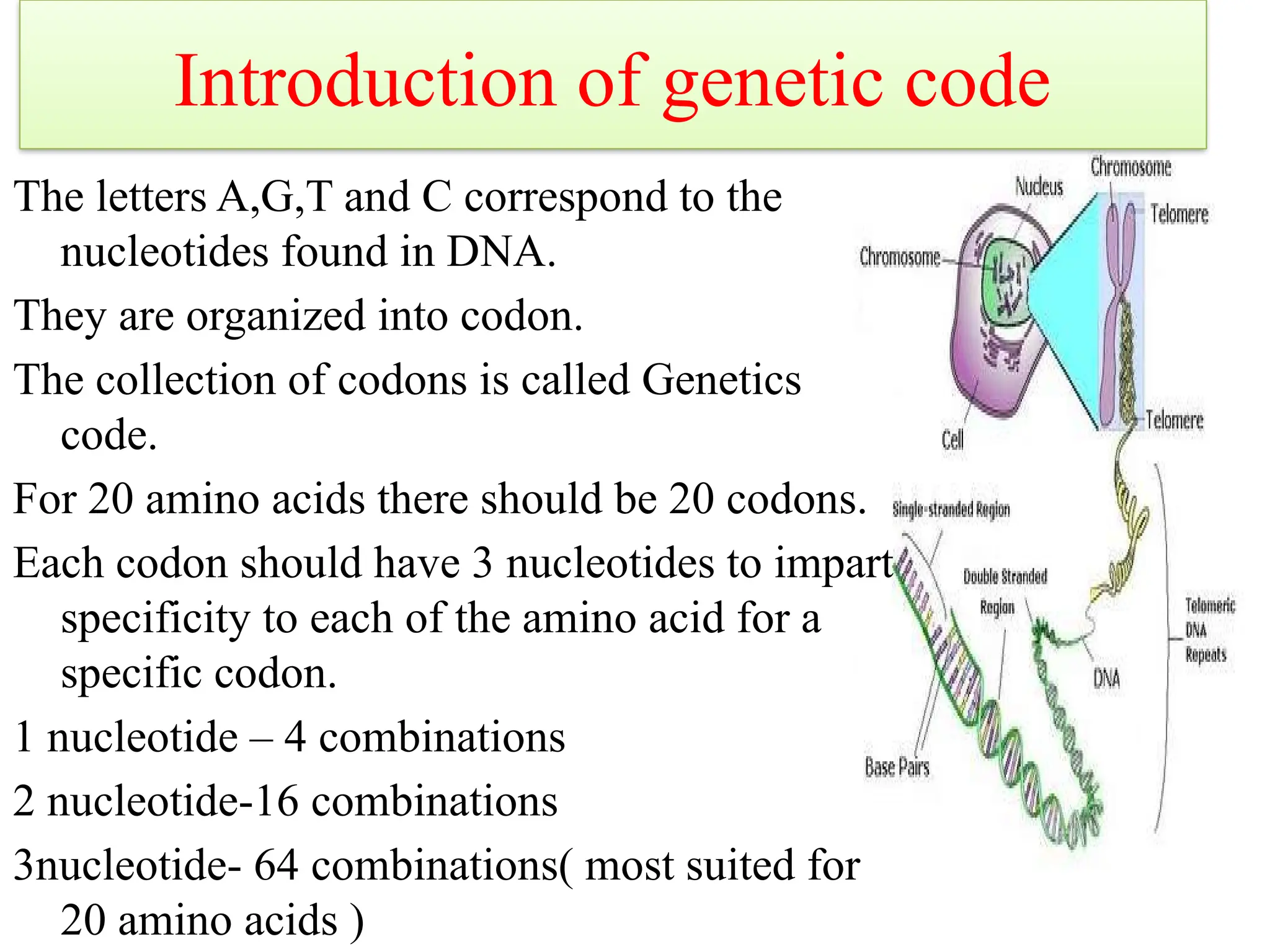 geneticcodeppt-190220122648 (1).pptx pharmaCOLOGY | PPTX