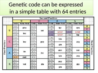 geneticcodeppt-190220122648 (1).pptx pharmaCOLOGY | PPTX