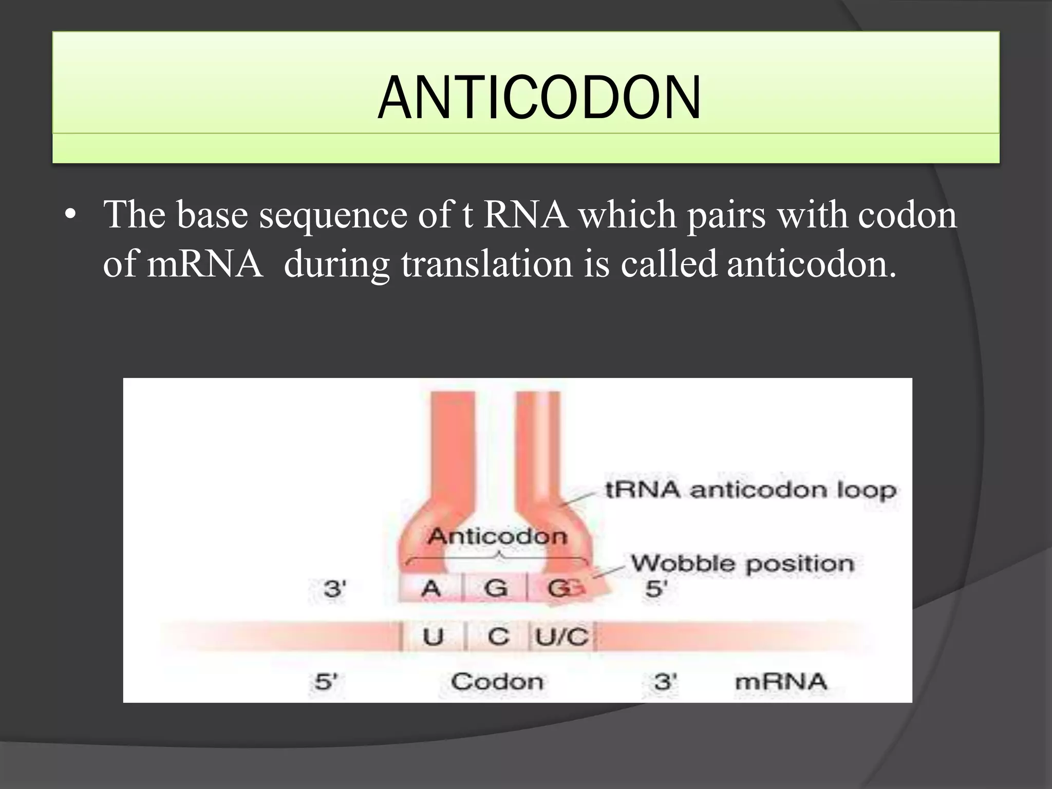 Geneticcode ppt | PPTX | Programming Languages | Computing