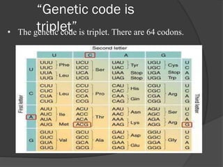 Geneticcode ppt | PPTX | Programming Languages | Computing