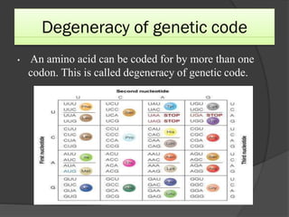 Geneticcode ppt | PPTX | Programming Languages | Computing